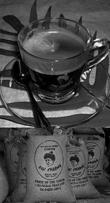 Review: Doi Chaang Civet coffee, revisited – Coffee & Conservation